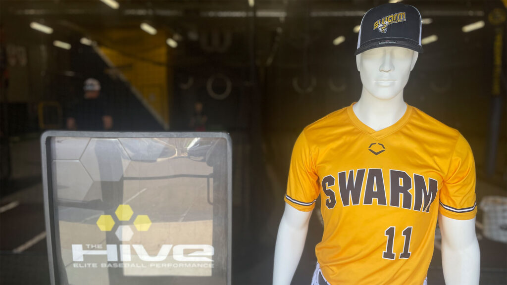 The Hive - Swarm Baseball