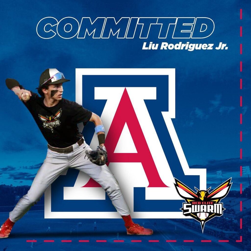 Home - Swarm Baseball