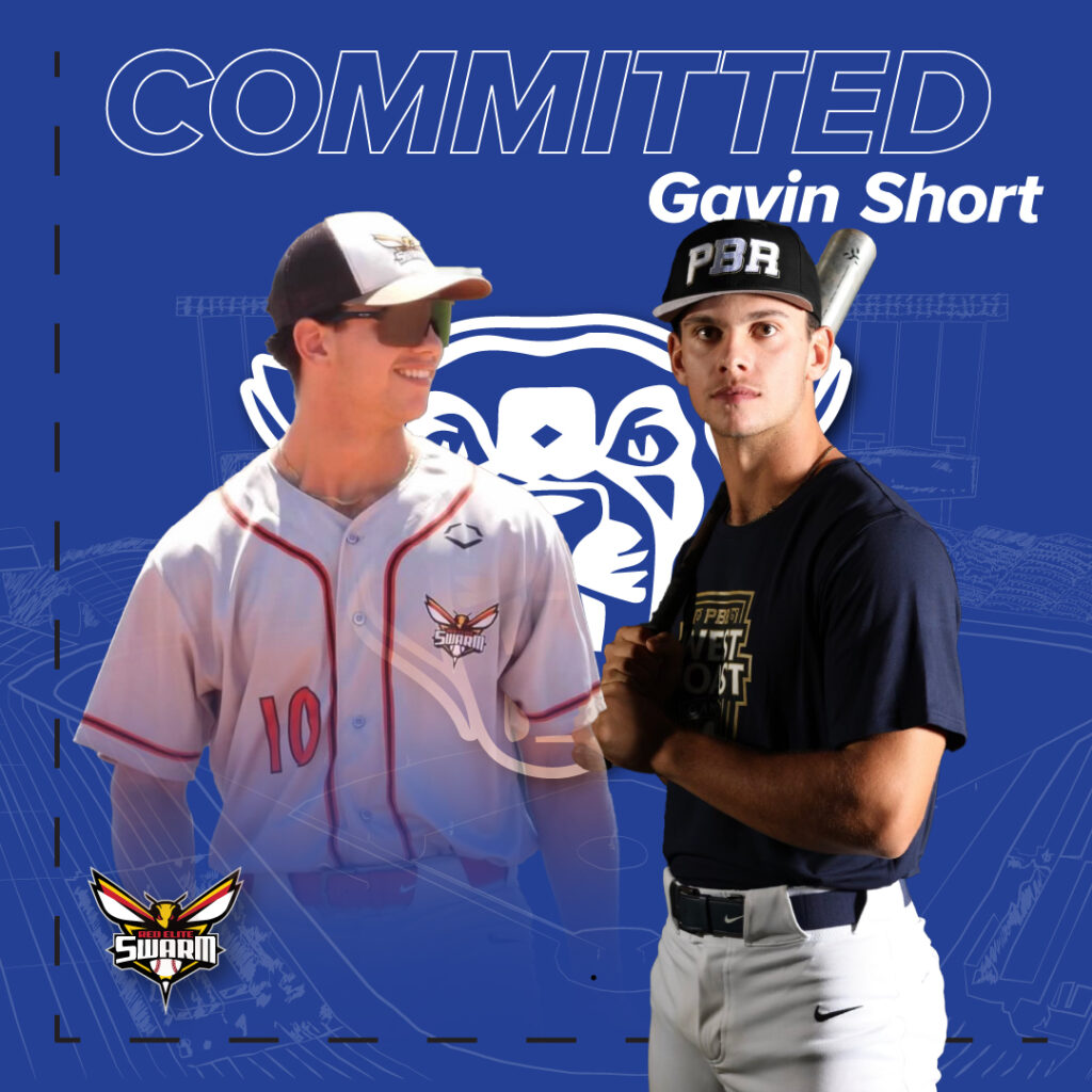 Home - Swarm Baseball