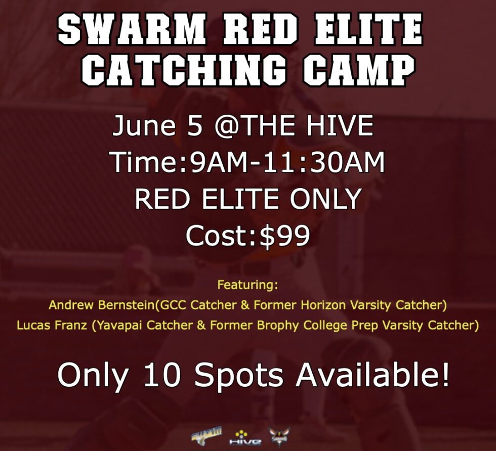 Home - Swarm Baseball