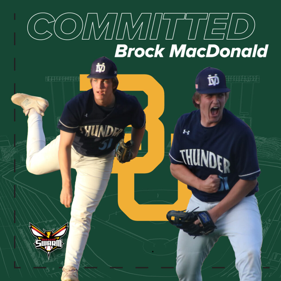 Home - Swarm Baseball