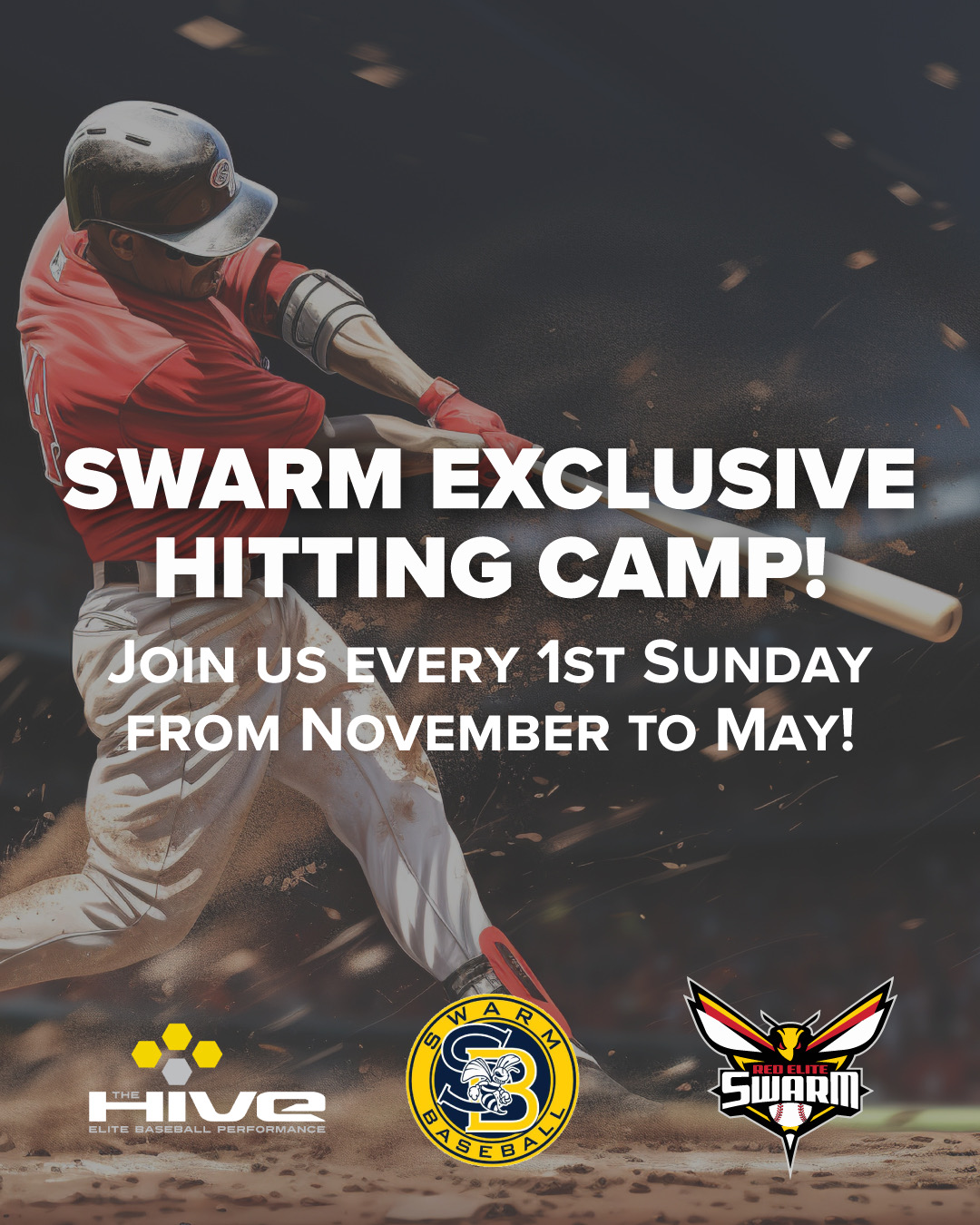 Home - Swarm Baseball