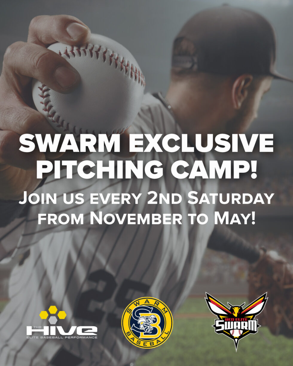 Home - Swarm Baseball