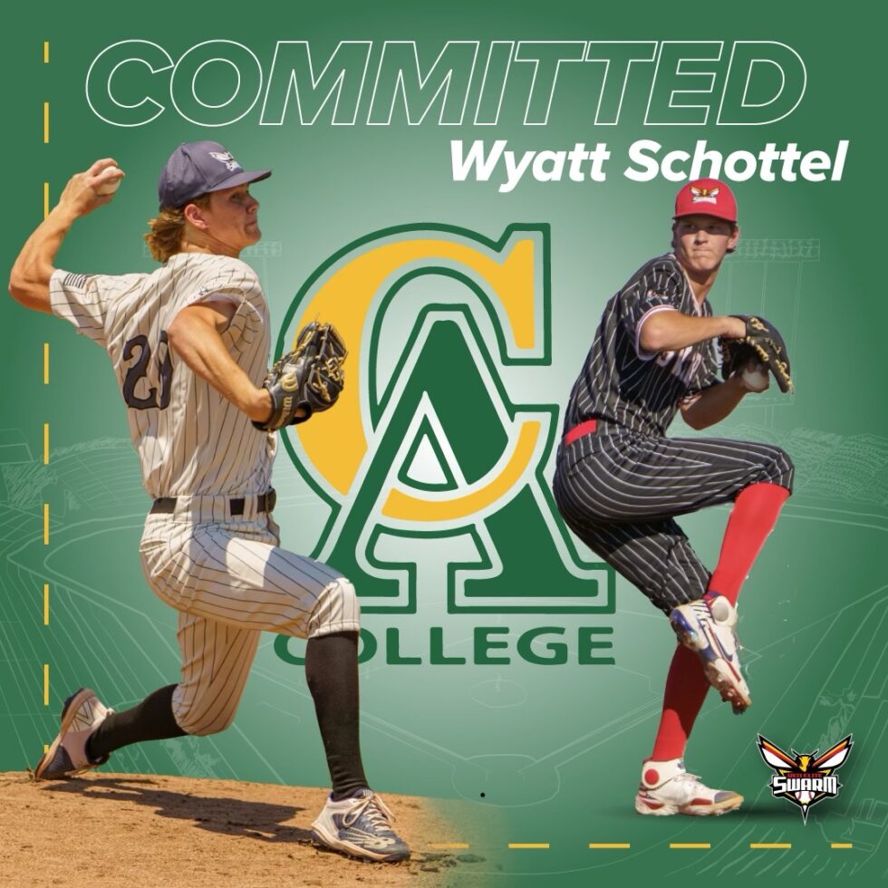 Home - Swarm Baseball