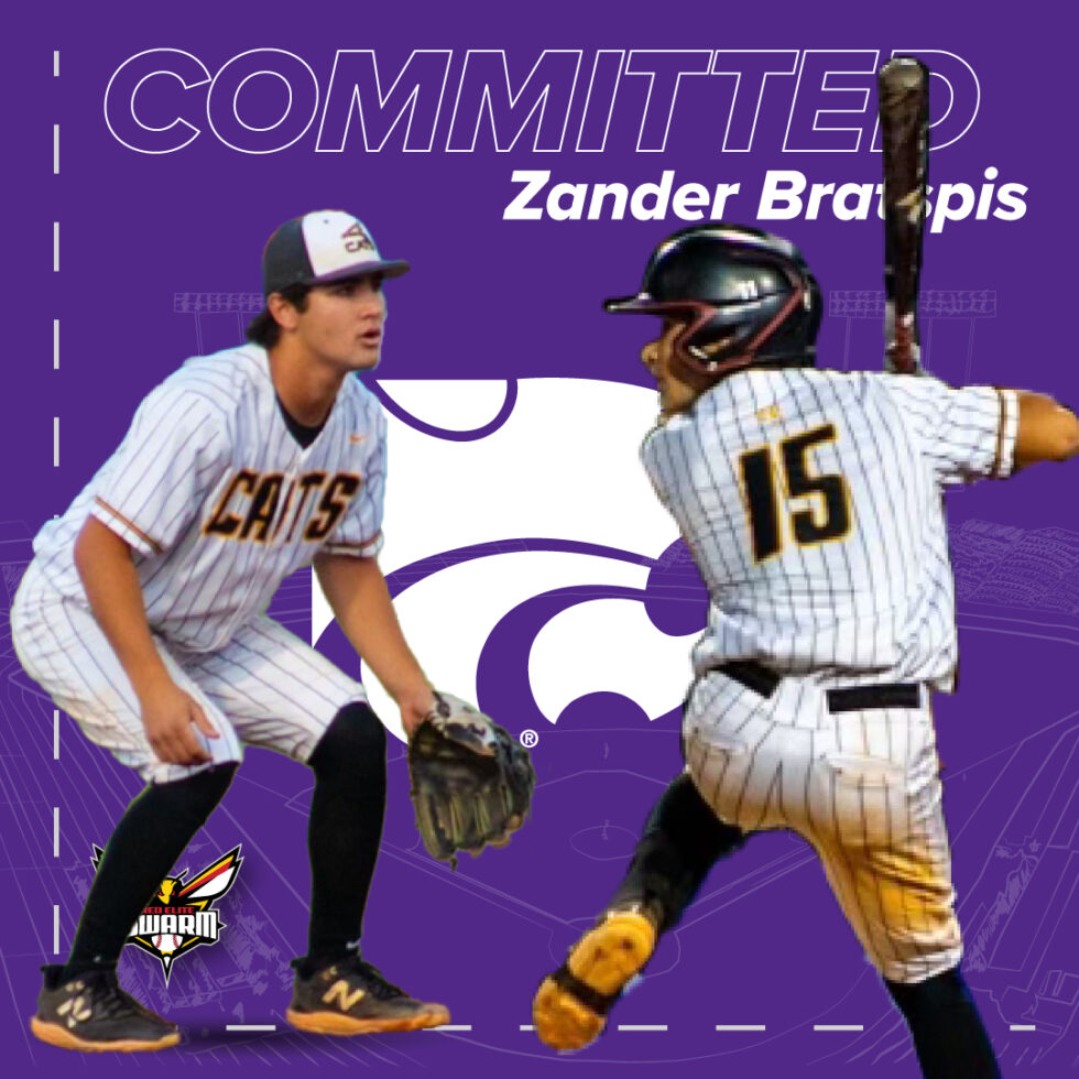 Home - Swarm Baseball